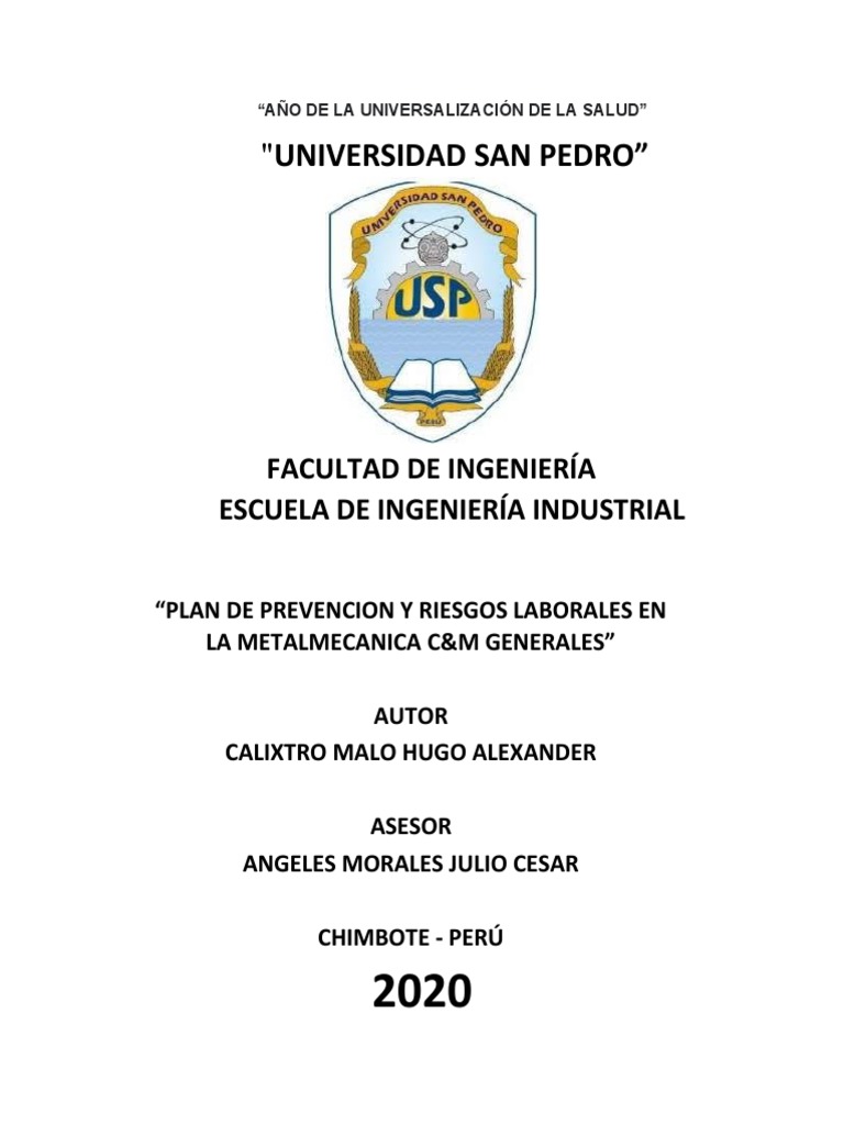 Plan de Practicas - Calixtro - Malo - Hugo | PDF | Business | Ingeniería