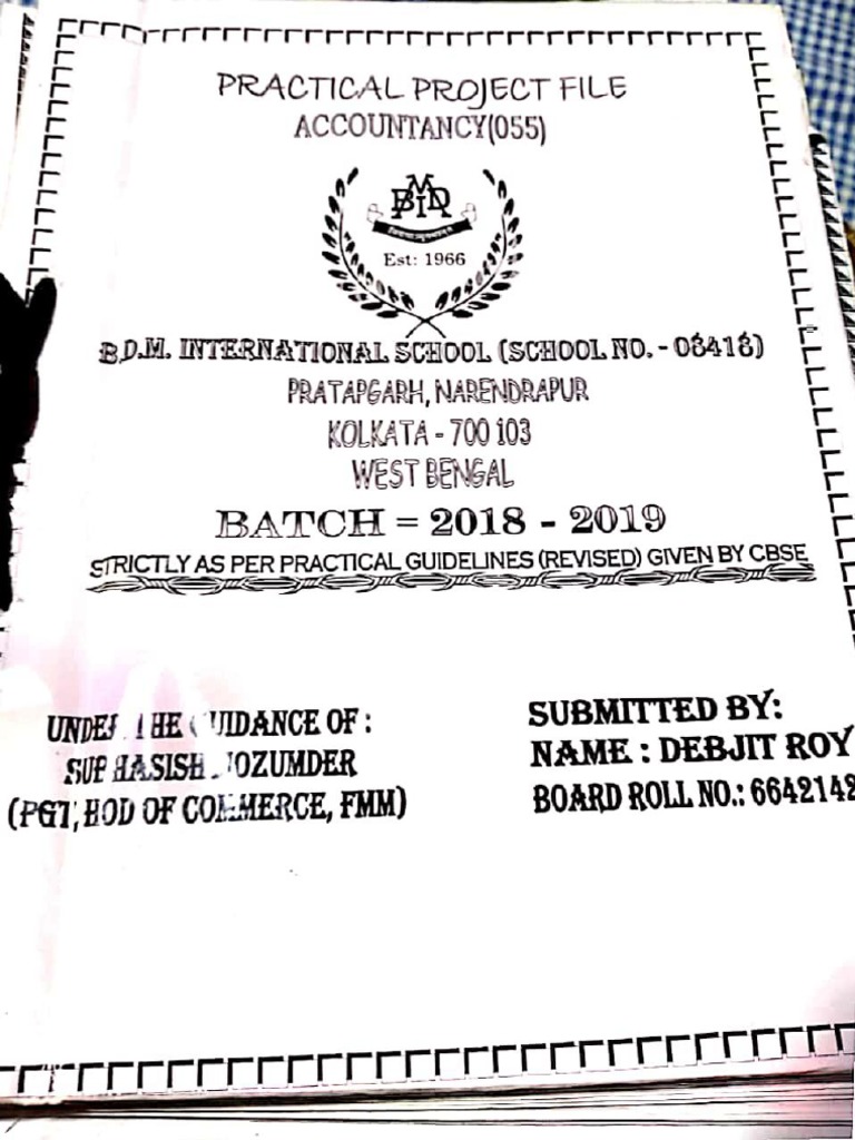 Class XII Accountancy Project | PDF