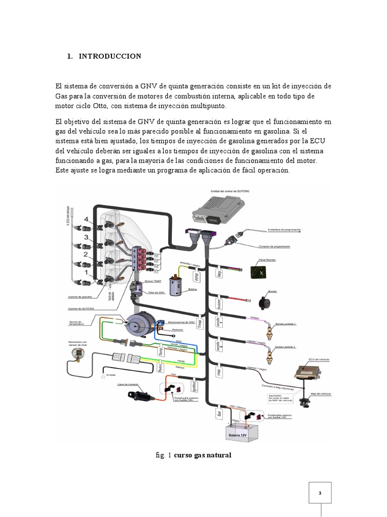 Proyecto GNV | PDF | Inyección de combustible | Gases