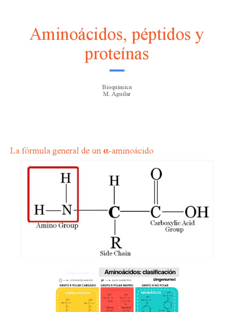 Aminoácidos, Péptidos y Proteínas | PDF | Aminoácidos | Proteínas