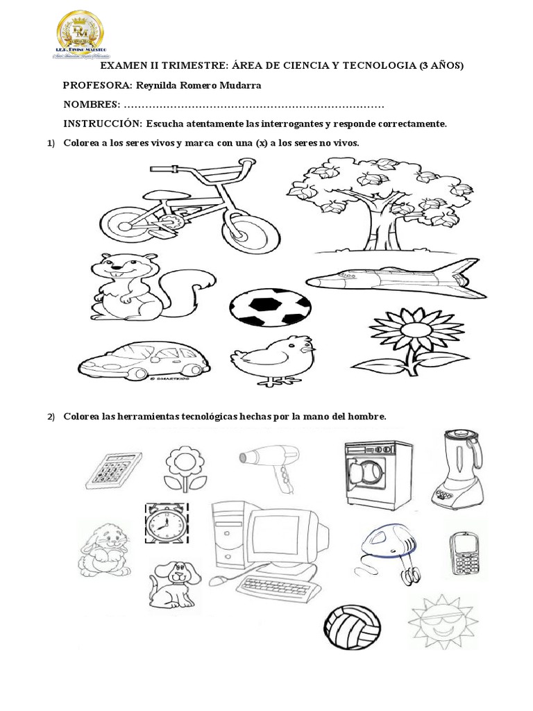 Examen de Ciencia y Tecnología 3 Años | PDF