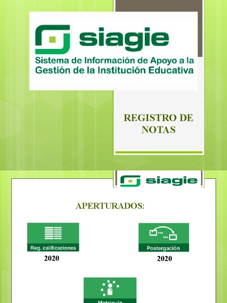 Registro de Notas Siagie | PDF