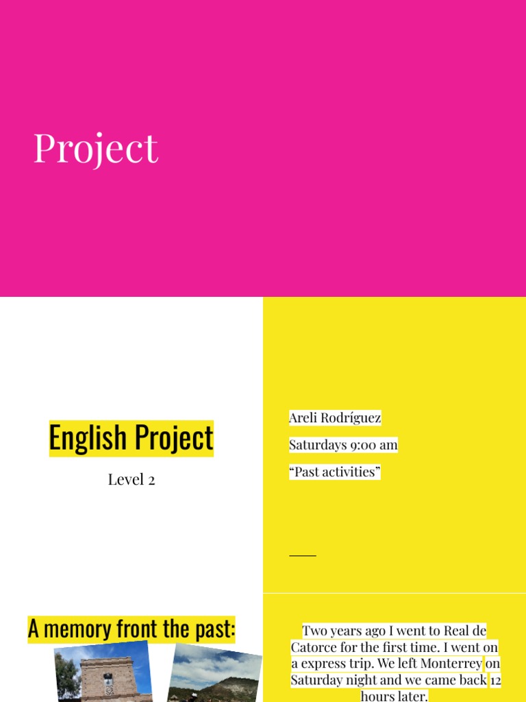 Project Sample | PDF