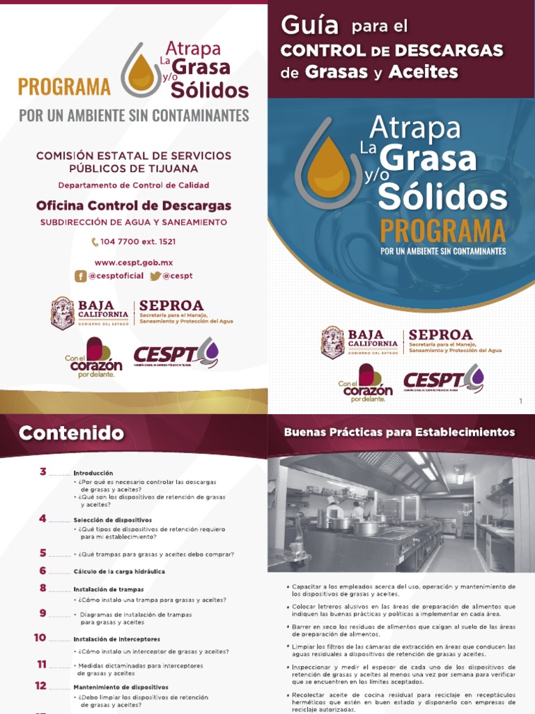 Guia Atrapa La Grasa 2019 Actualizada | PDF