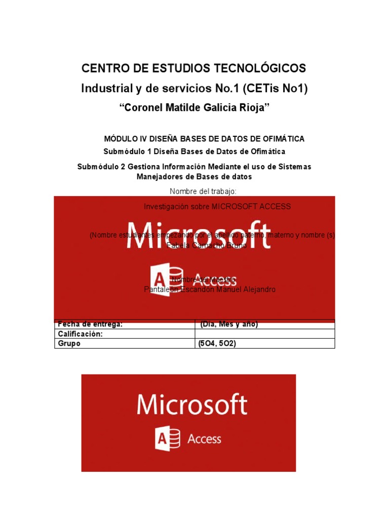 Microsoft Access | PDF | Visual Basic para Aplicaciones | Bases de datos