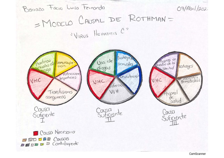 Modelo Rothman VHC. | PDF