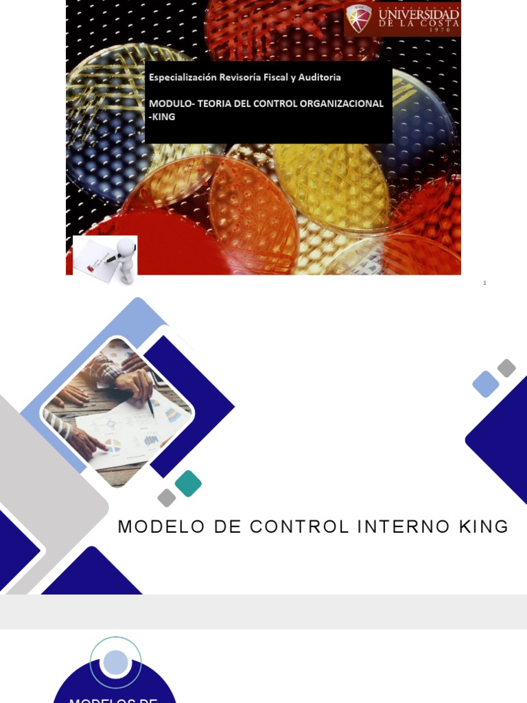 Modelo KING | PDF | Auditoría | Corporaciones