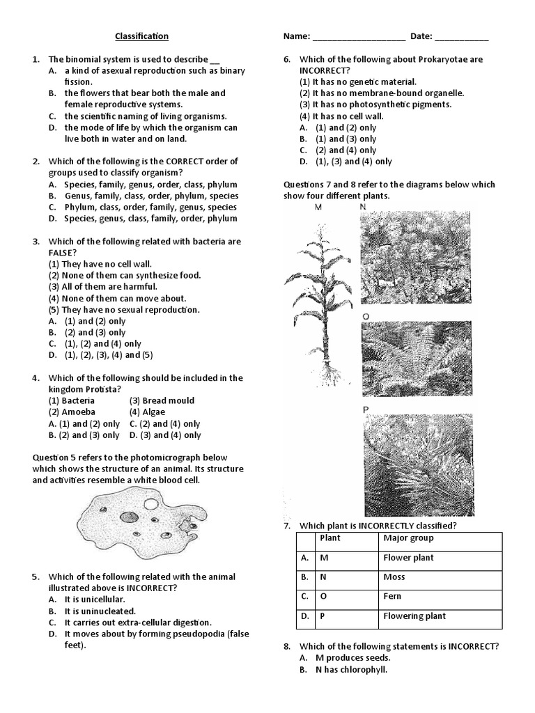 Organism Classification Quiz and Answers | PDF | Plants | Organisms