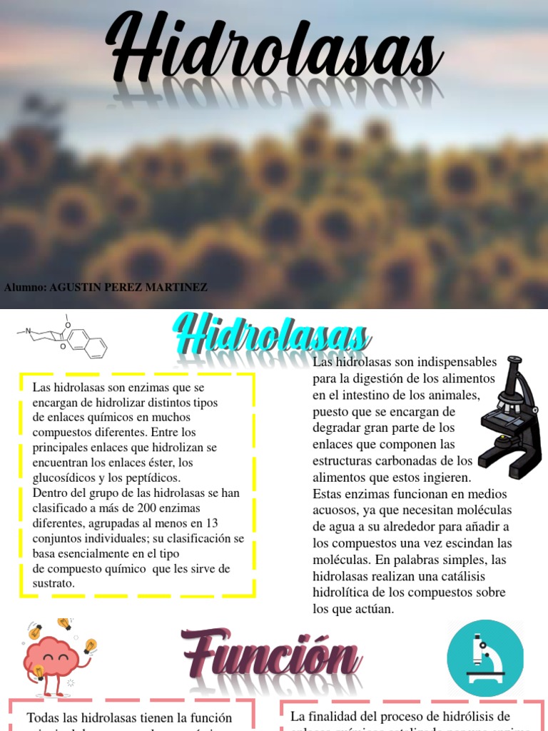 Función y ejemplos de hidrolasas | PDF | Enzima | Hidrólisis