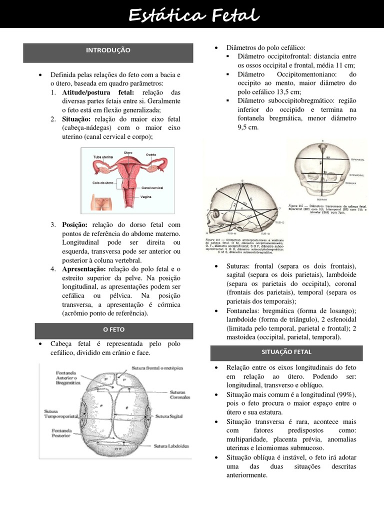 Estática Fetal: Conceitos Fundamentais sobre a Posição, Apresentação e ...