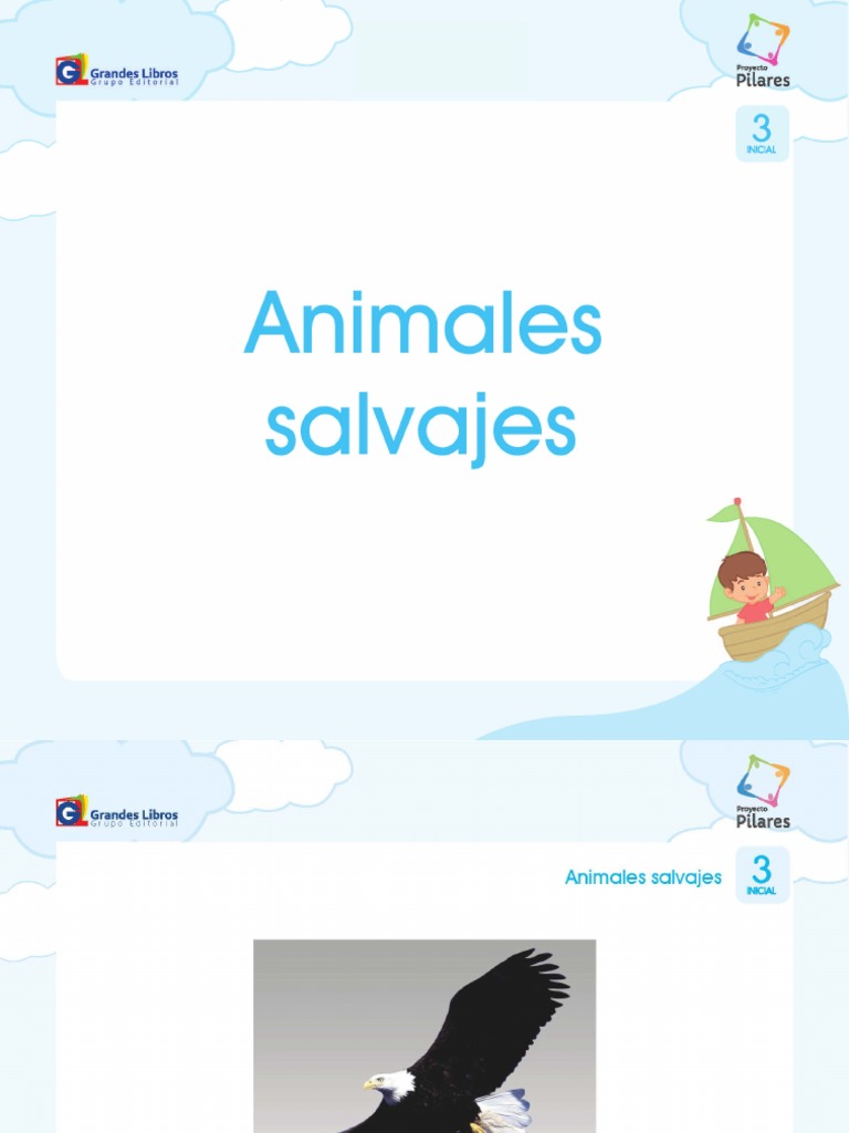 Flash Cards - Animales Salvajes (3 Años) | PDF