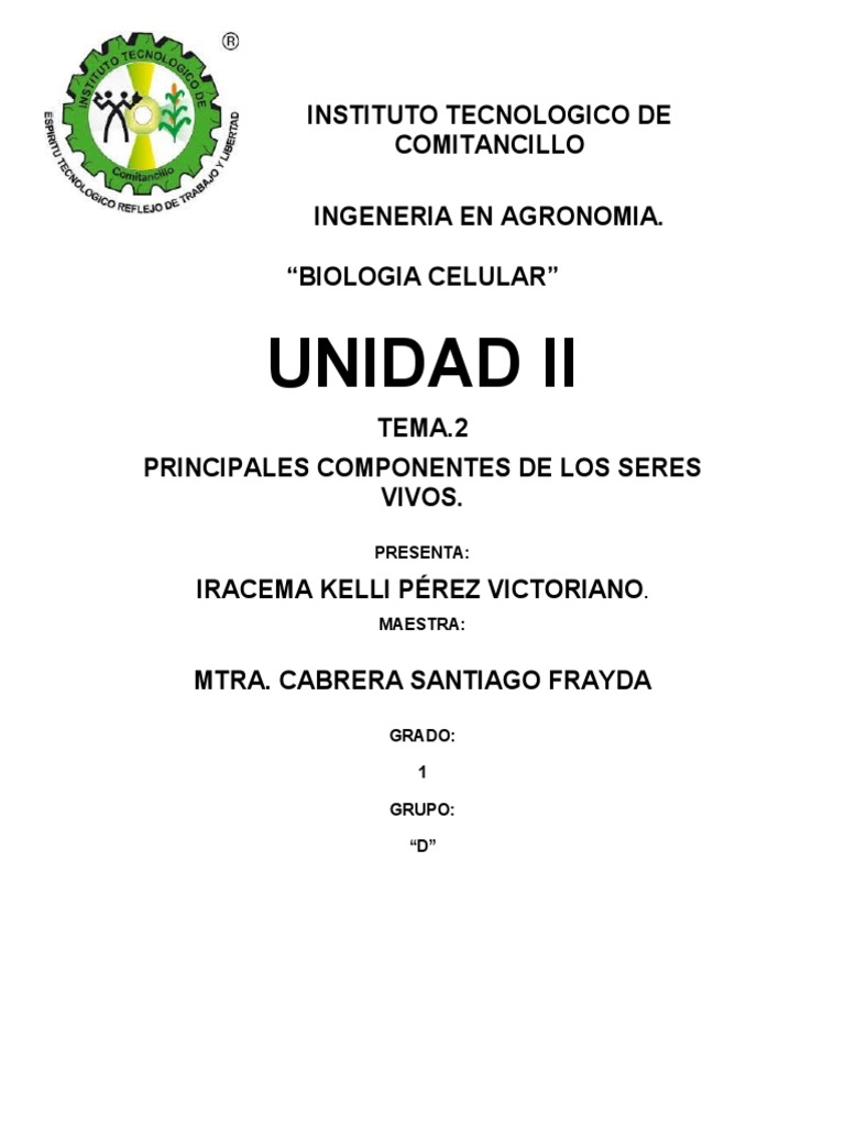 INSTITUTO TECNOLOGICO DE COMITANCILLO | PDF | Rna | Carbohidratos