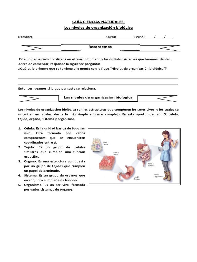 Guia 5 Repaso Niveles de Organizacion | PDF | Organismos | Biología