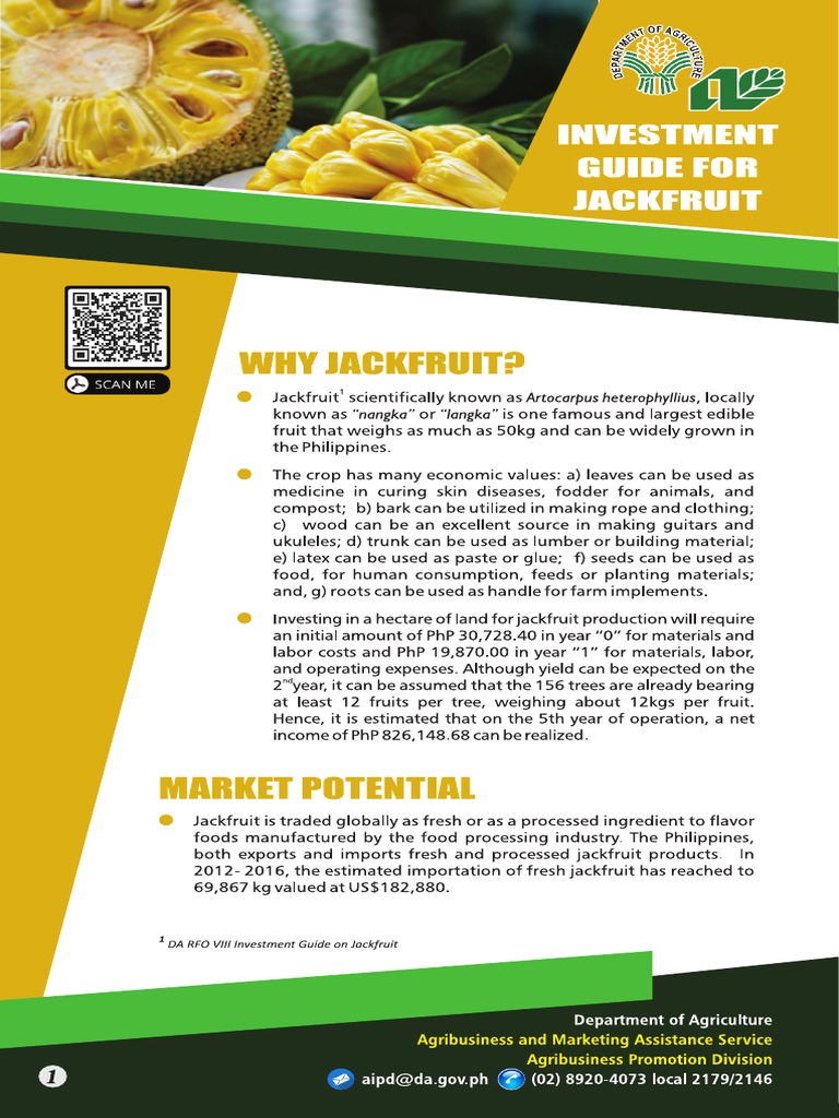 Investment Guide For Jackfruit | PDF