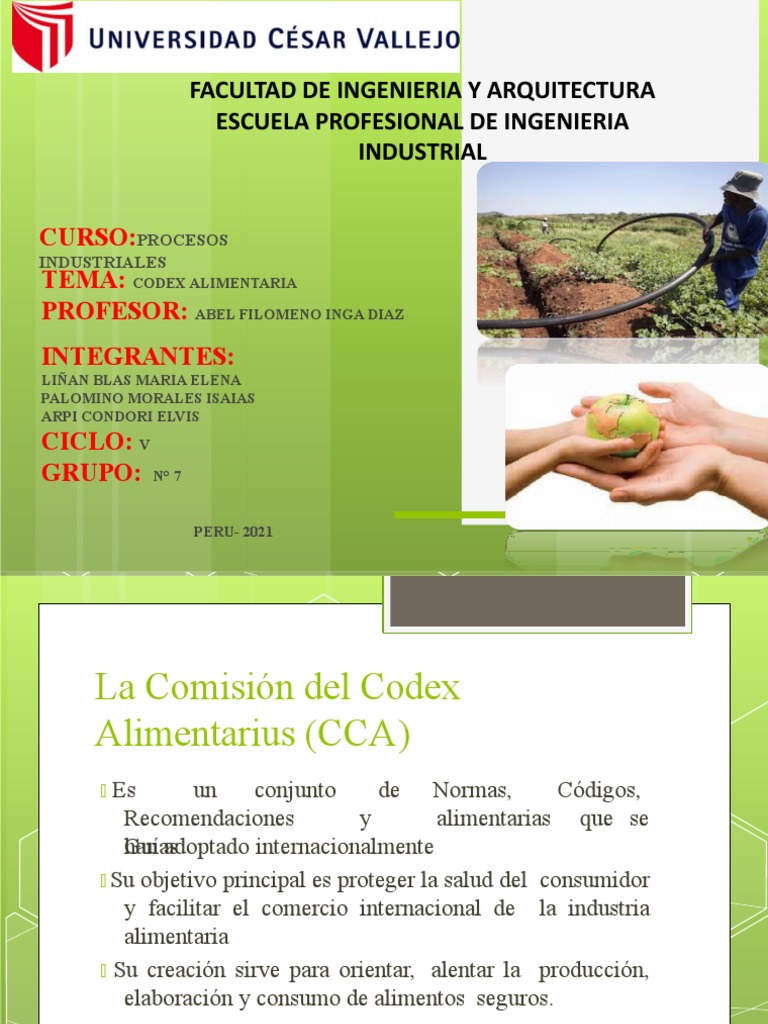CODEX ALIMENTARIO - ODS-12 Grupo 7 | PDF | Seguridad alimenticia | Alimentos