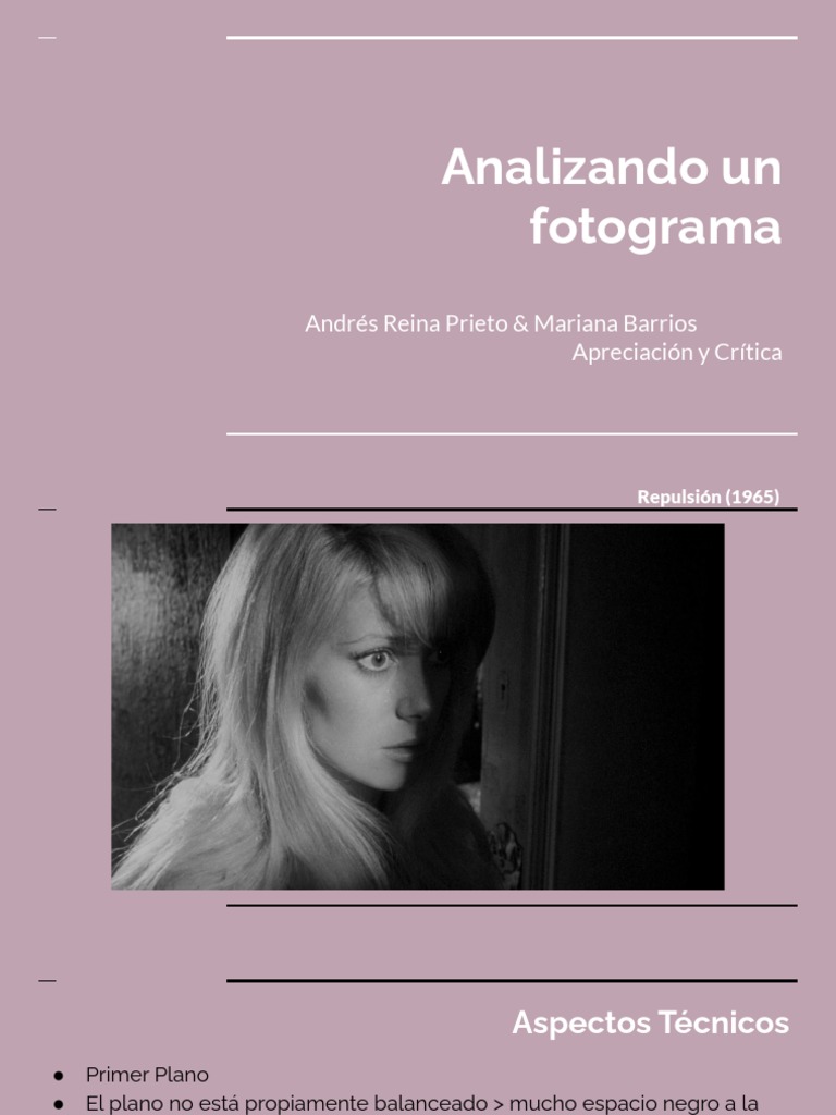 Análisis de Un Fotograma | PDF