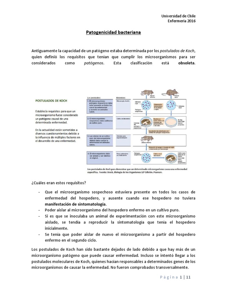 CT4 Patogenicidad Bacteriana | PDF | Las bacterias | Microorganismo