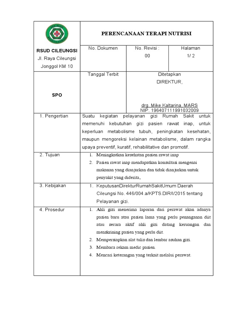 Perencanaan Terapi Nutrisi RSUD Cileungsi | PDF