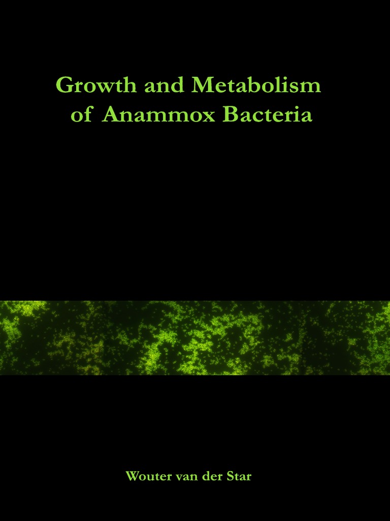 Growth and Metabolism of Anammox Bacteria | PDF