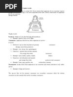 Detailed Lesson Plan On Food Chain | PDF | Foods | Plants