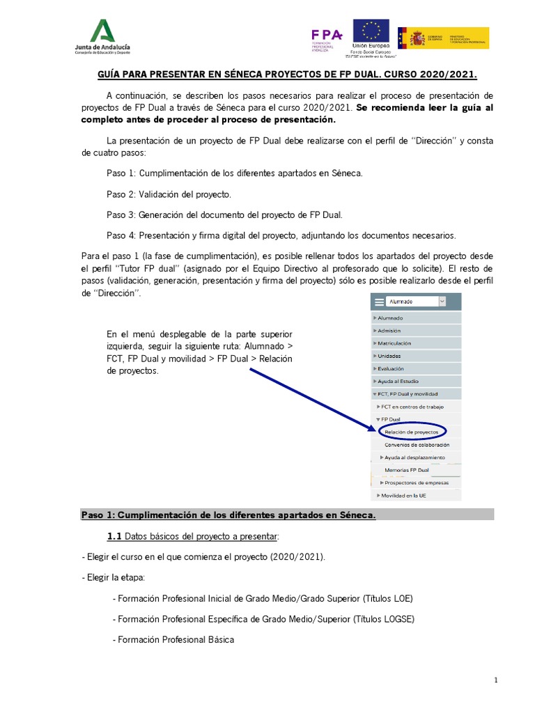 Guia Presentacion Proyectos Dual 2020 | PDF