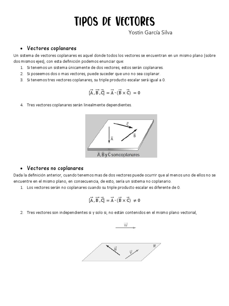 Tipos de Vectoresgug | PDF