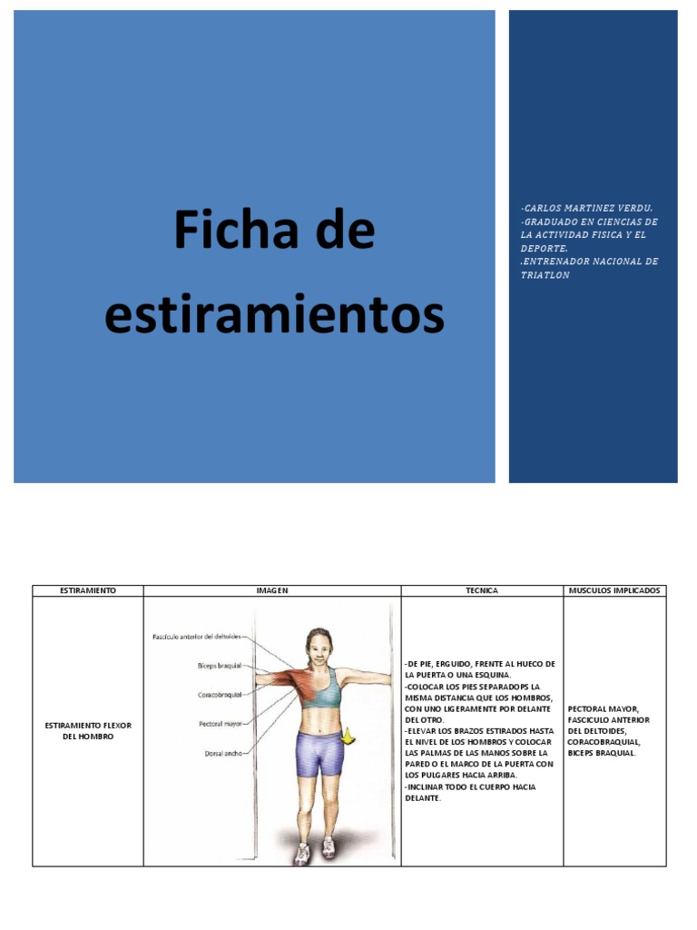 Ficha de Estiramientos Estaticos | PDF | Codo | Pie