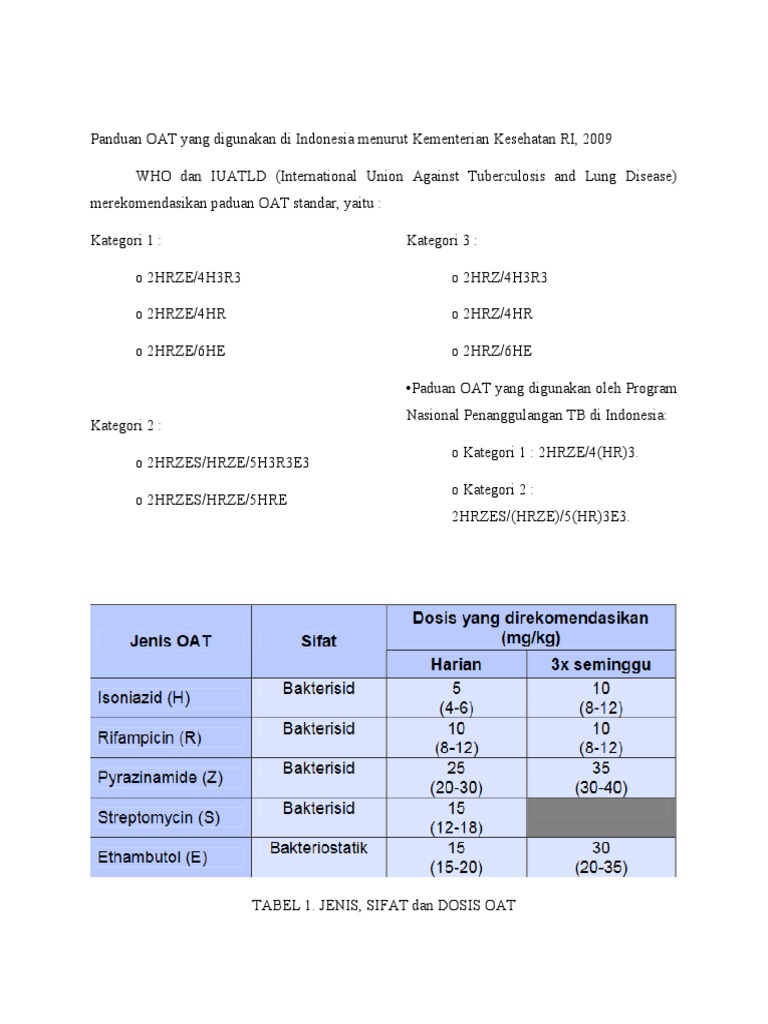 Panduan Pengobatan TB | PDF