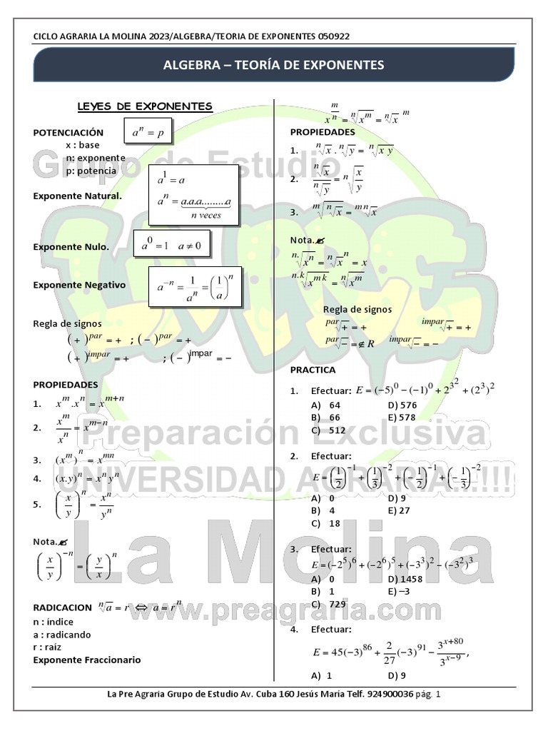 Teoría de Exponentes en Álgebra 2023 | PDF | Métodos y materiales de ...