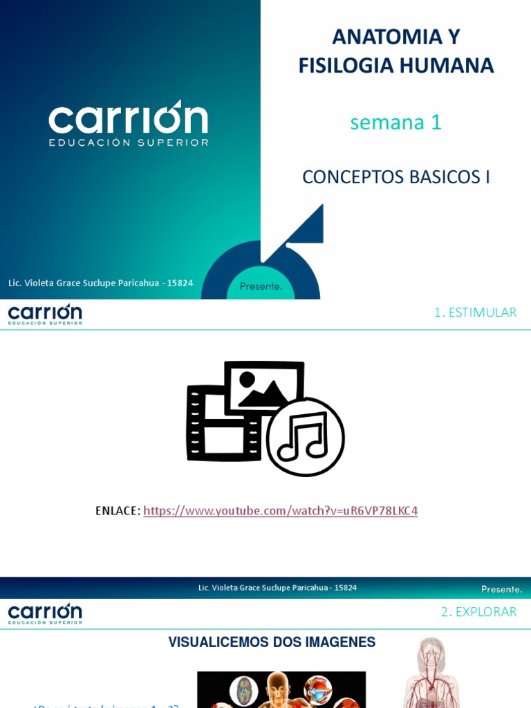 Sem 1 - Conceptos Basicos I | PDF | Anatomía | Cuerpo humano