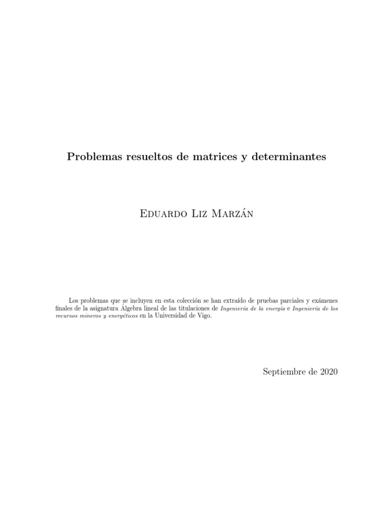 Matrices Sol | PDF | Determinante | Matriz (Matemáticas)