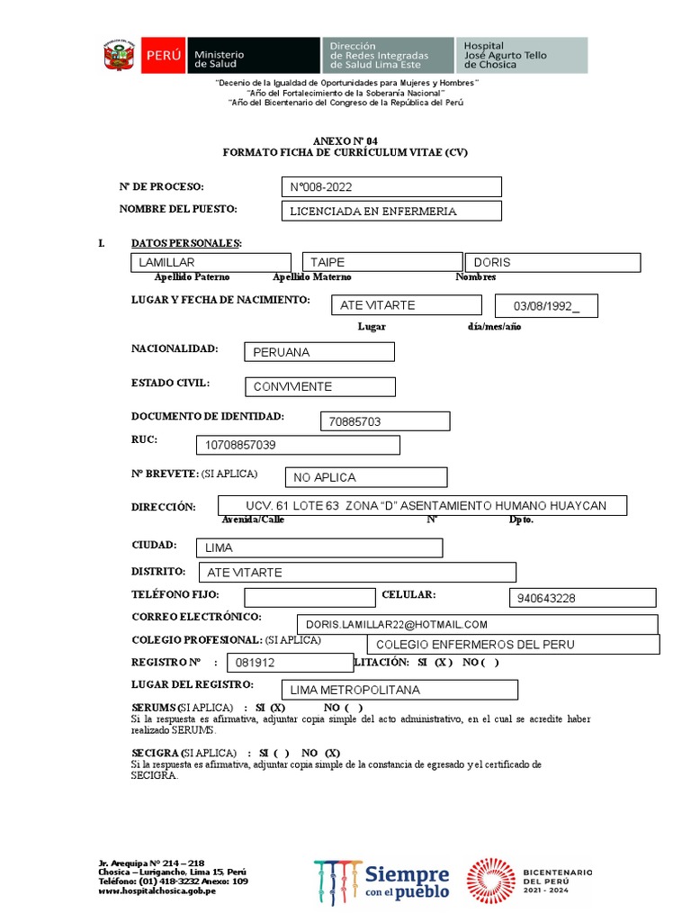 Anexo N°04 2022 | PDF | Hospital | Enfermería