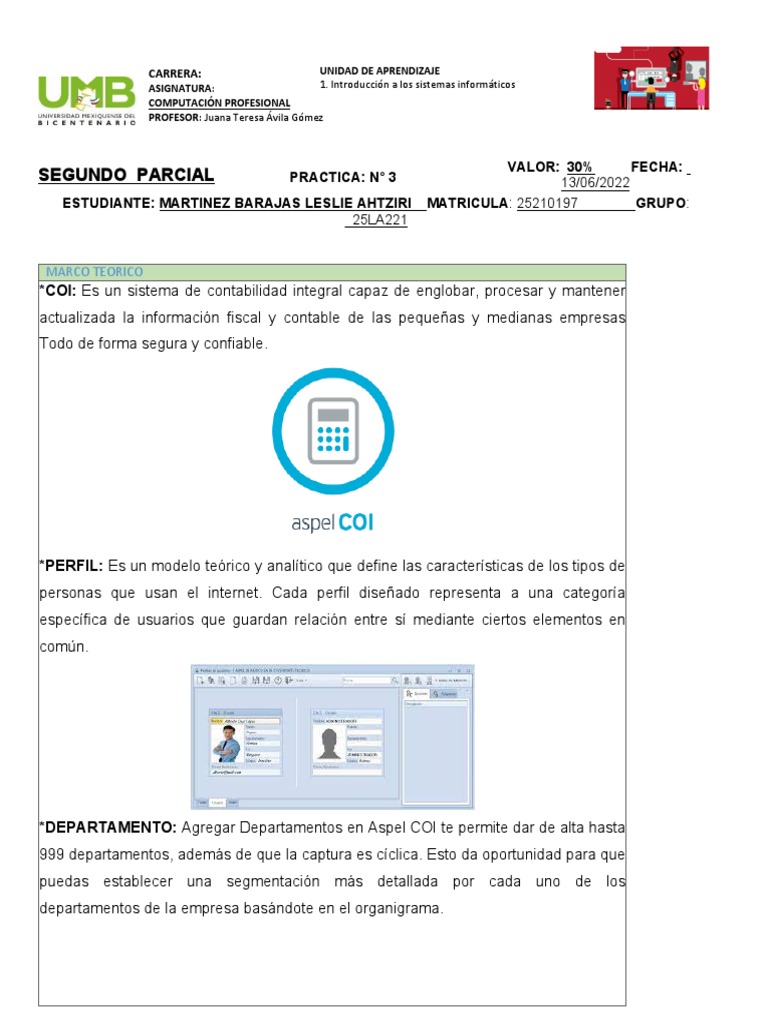 Practica Coi | PDF | Contabilidad | Software de la aplicacion