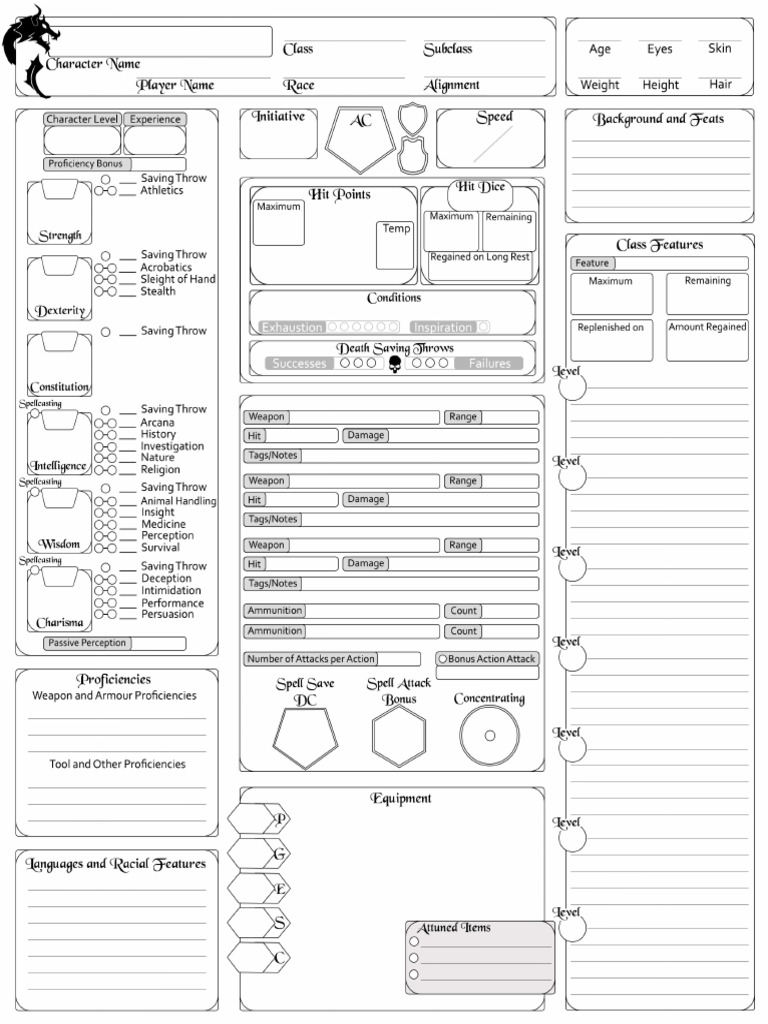 1970593-Complete Character Sheet 5e | PDF