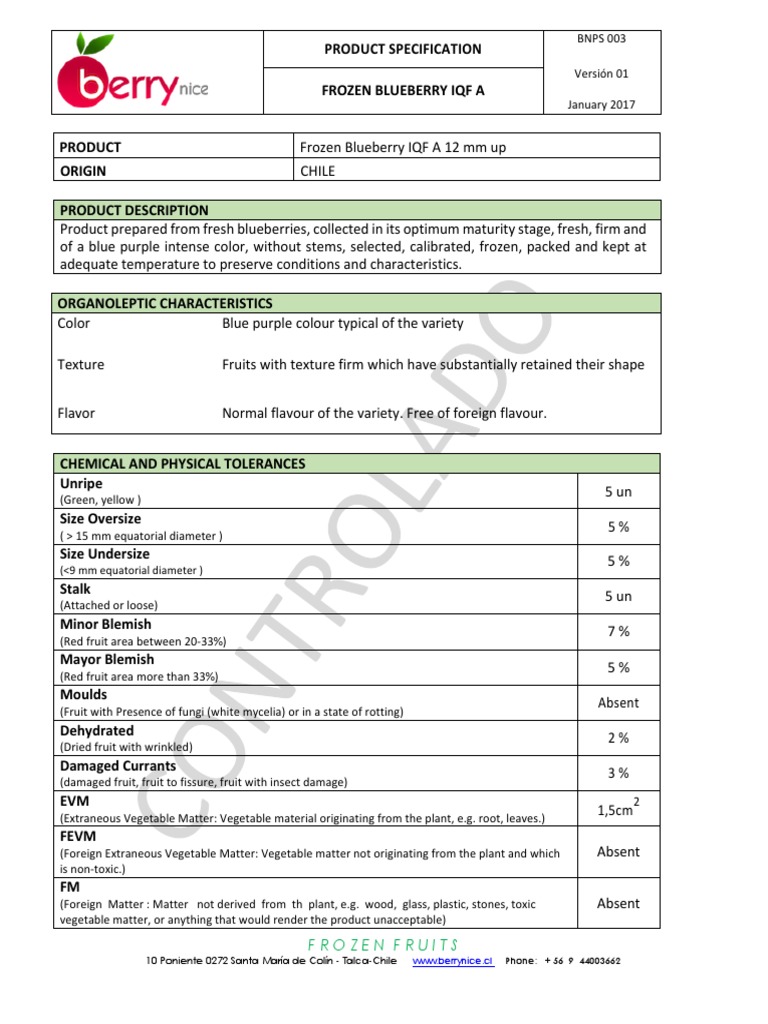 Berrynice - Frozen Blueberry Iqf A - FT | PDF | Vegetables | Fruit