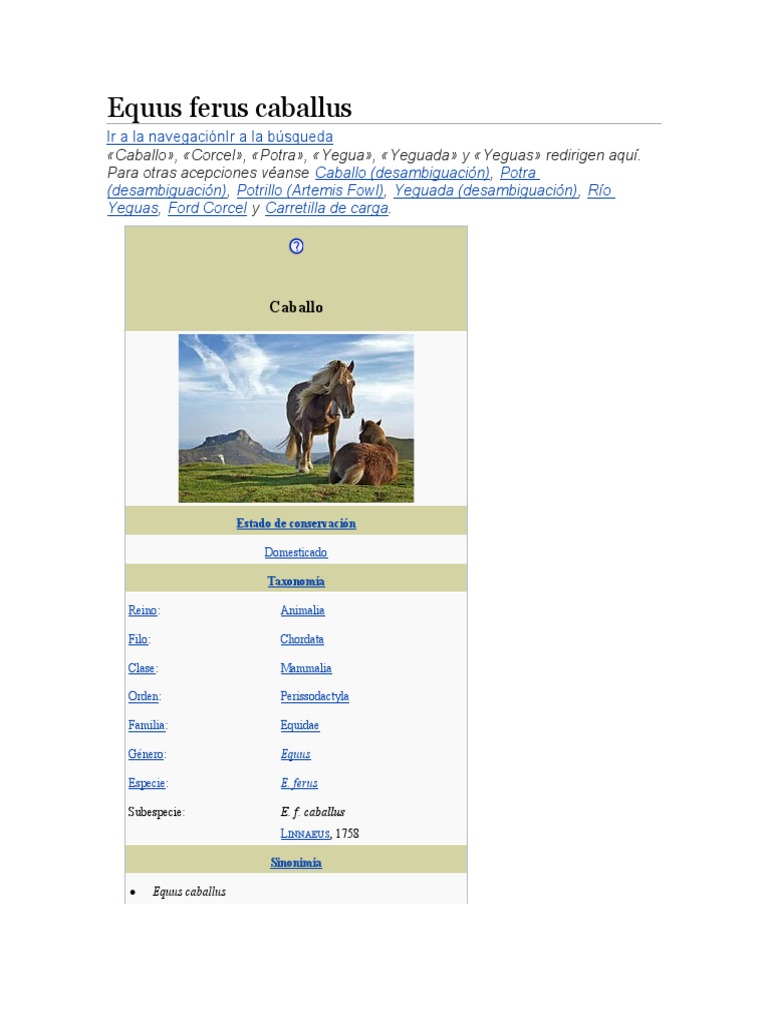 Taxonomía del Caballo: Equus ferus caballus | PDF | Caballos | Équidos