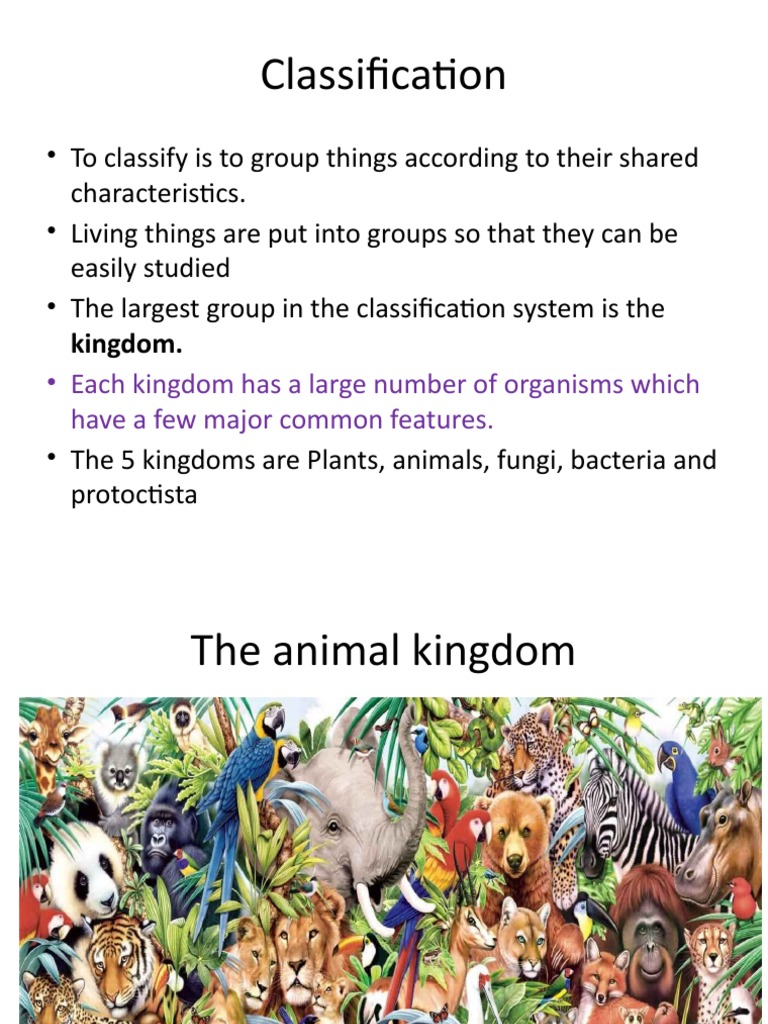 Classification | PDF