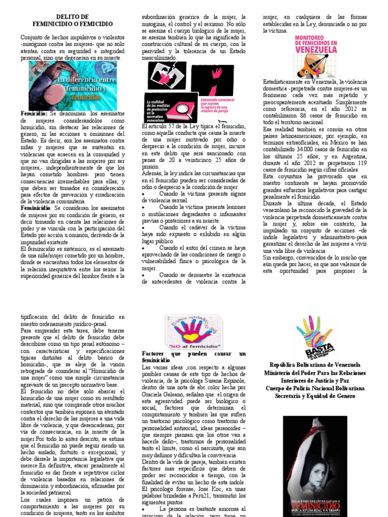 Delito de Feminicidio o Femicidio | PDF | Crímenes | Crimen y violencia