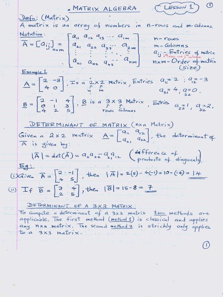 Lesson1 Matrix Algebra | PDF