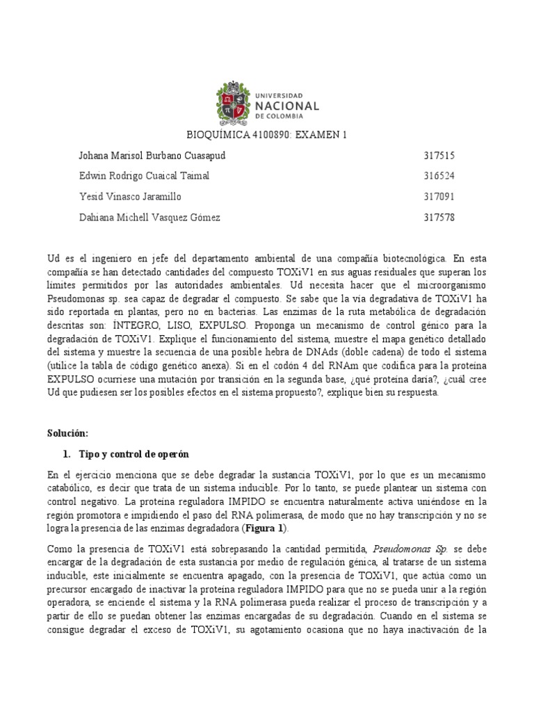 Edwin Rodrigo Cuaical Taimal Yesid Vinasco Jaramillo Dahiana Michell ...