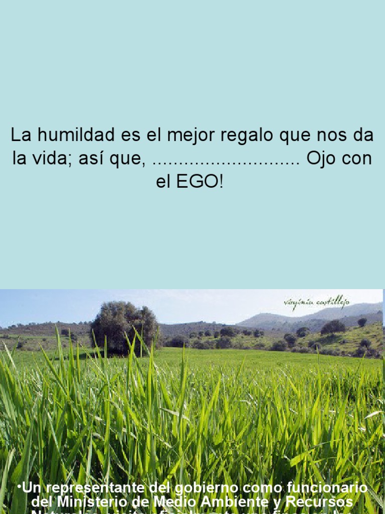 La Humildad | PDF