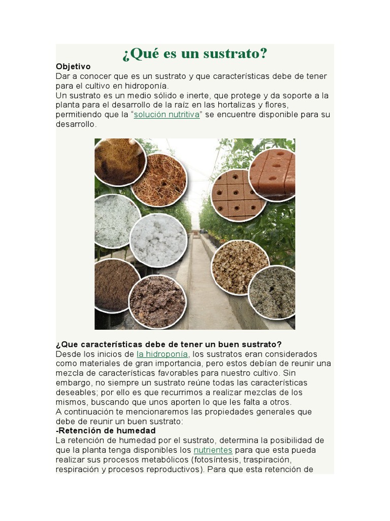 Qué Es Un Sustrato | PDF | Hidroponia | Botánica