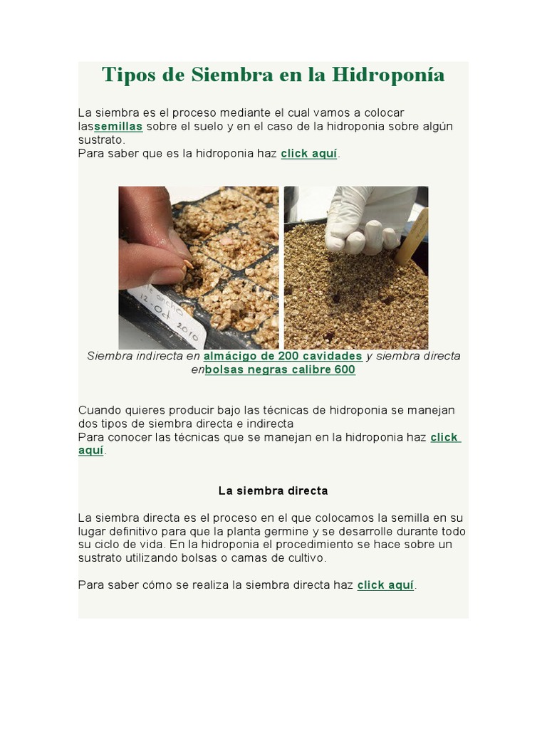 Guía de Siembra en Hidroponía: Tipos y Técnicas | PDF | Hidroponia ...
