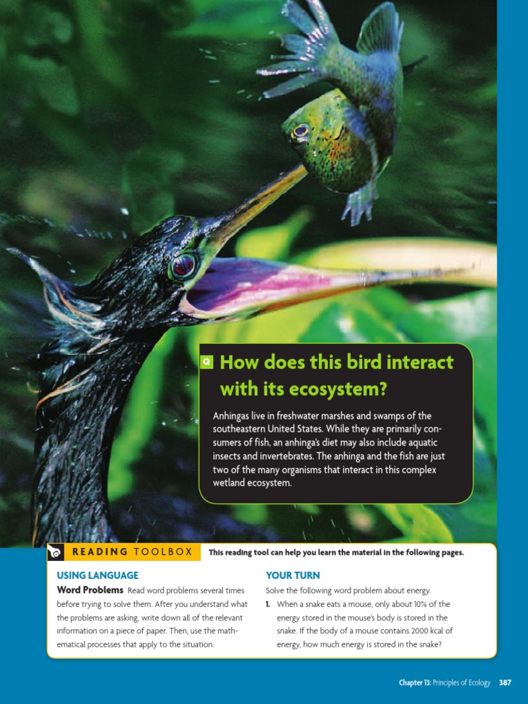 Book13 1 Ecology Pdf Ecology Experiment