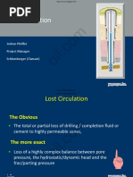 Understanding Daily Mud Reports | PDF | Alkalinity | Chloride