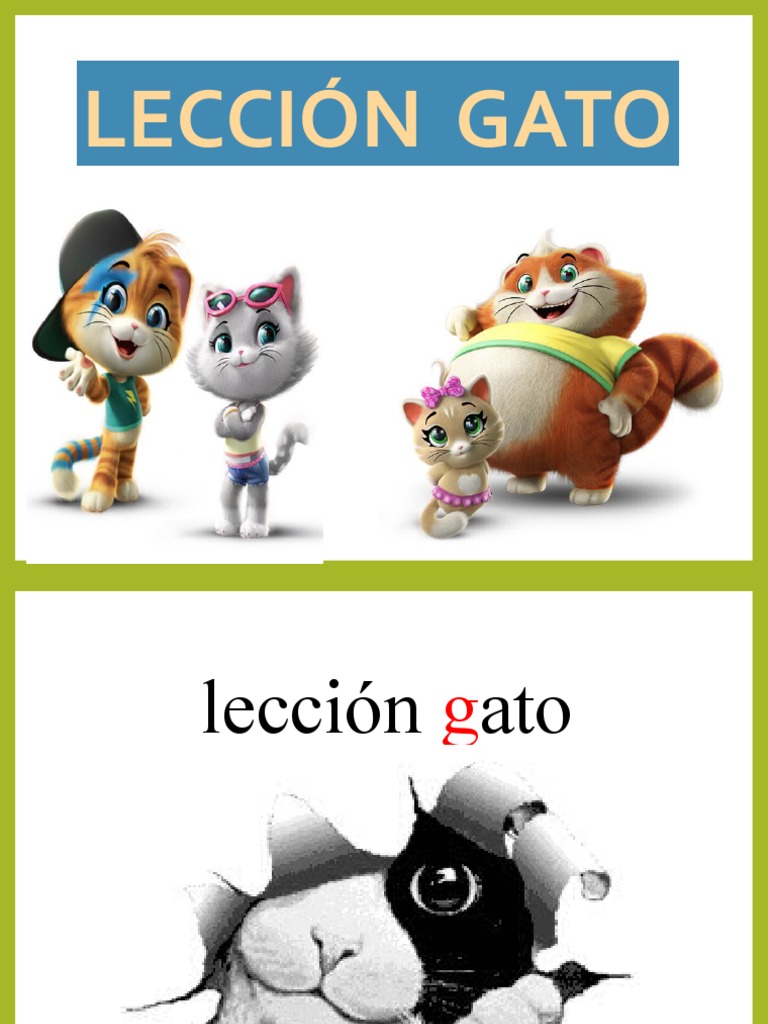 Leccion Gato | PDF