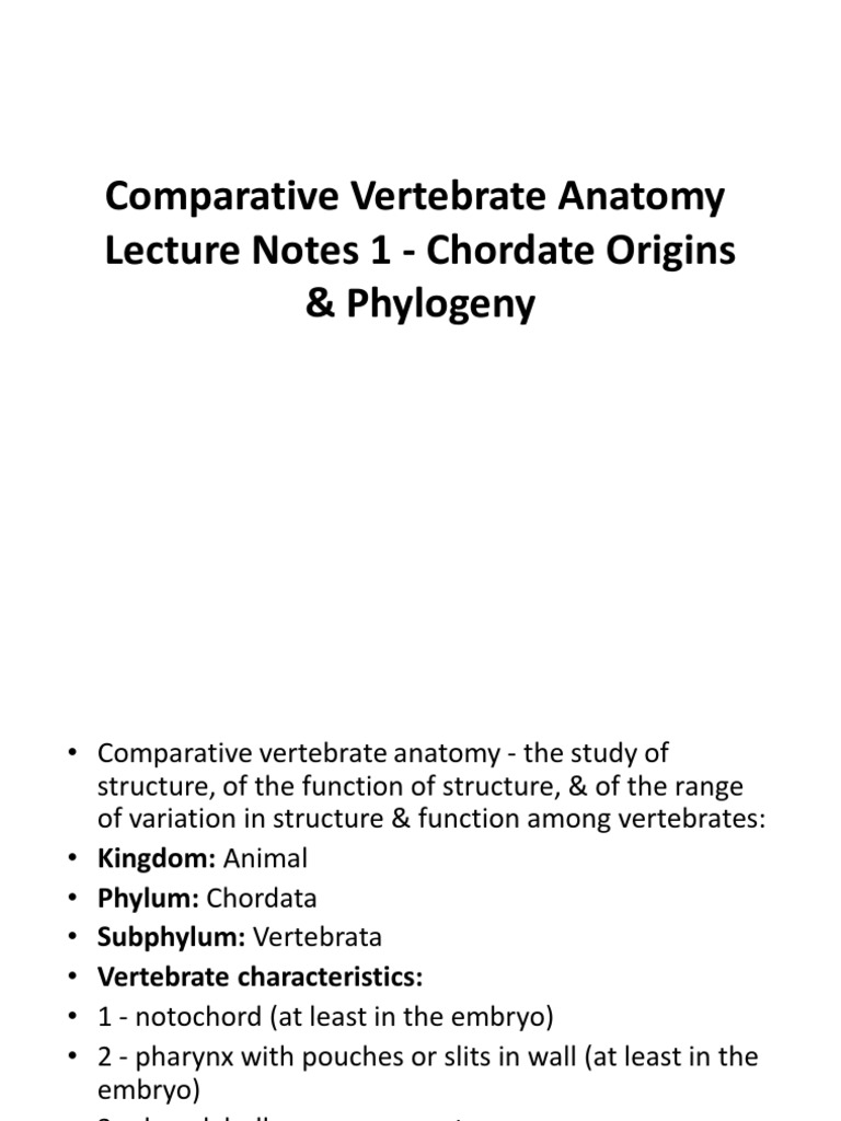 Comparative Vertebrate Anatomy Lecture 1 | PDF | Vertebrates | Amphibian