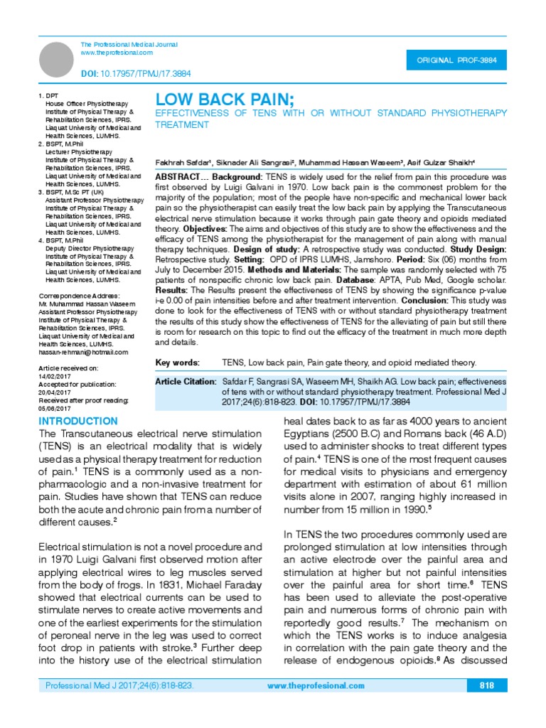 Low_Back_Pain | PDF | Physical Therapy | Pain