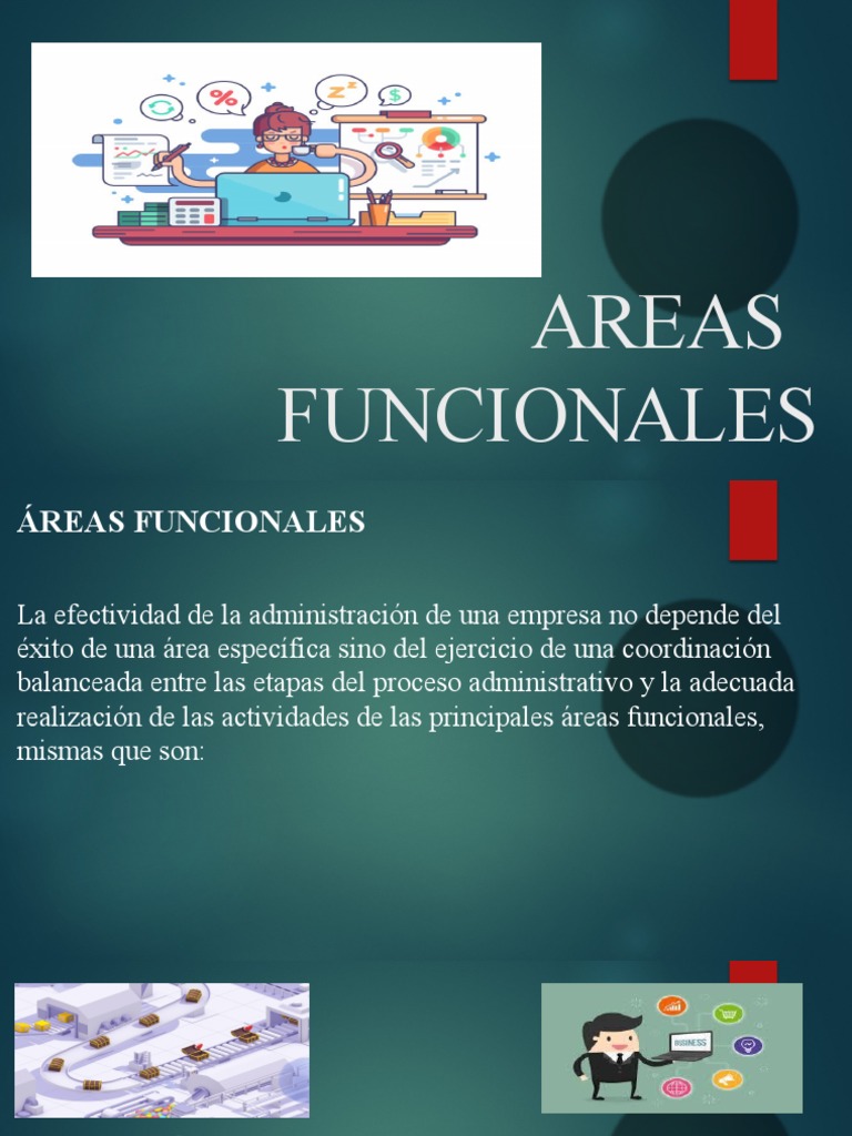 Areas Funcionales | PDF | Business | Capital (economía)