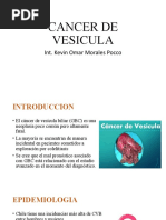 Prospecto NIFURYL | PDF | Infección del tracto urinario ...